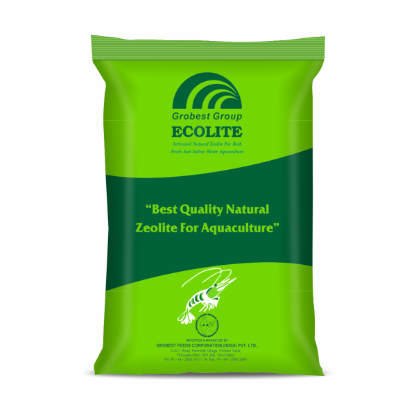 TEA SEED POWDER|Grobest Group