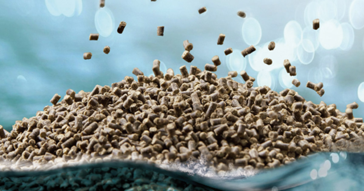 The Grobest Difference | Grobest Group