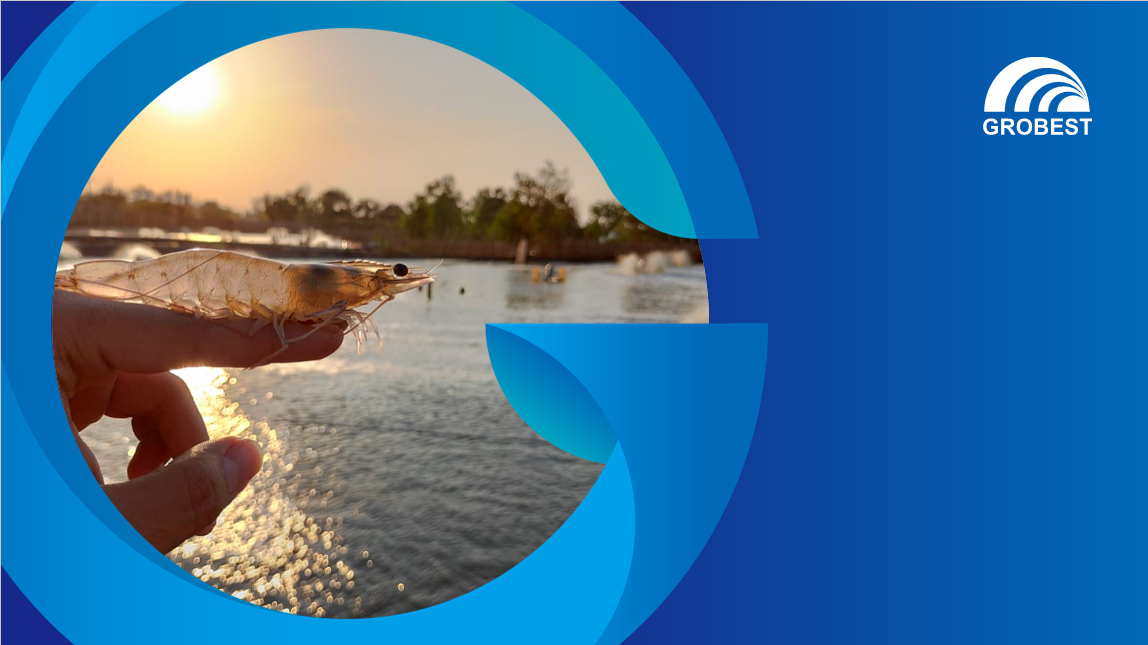 GroStronger, GroFaster, GroSustainably | Grobest Group