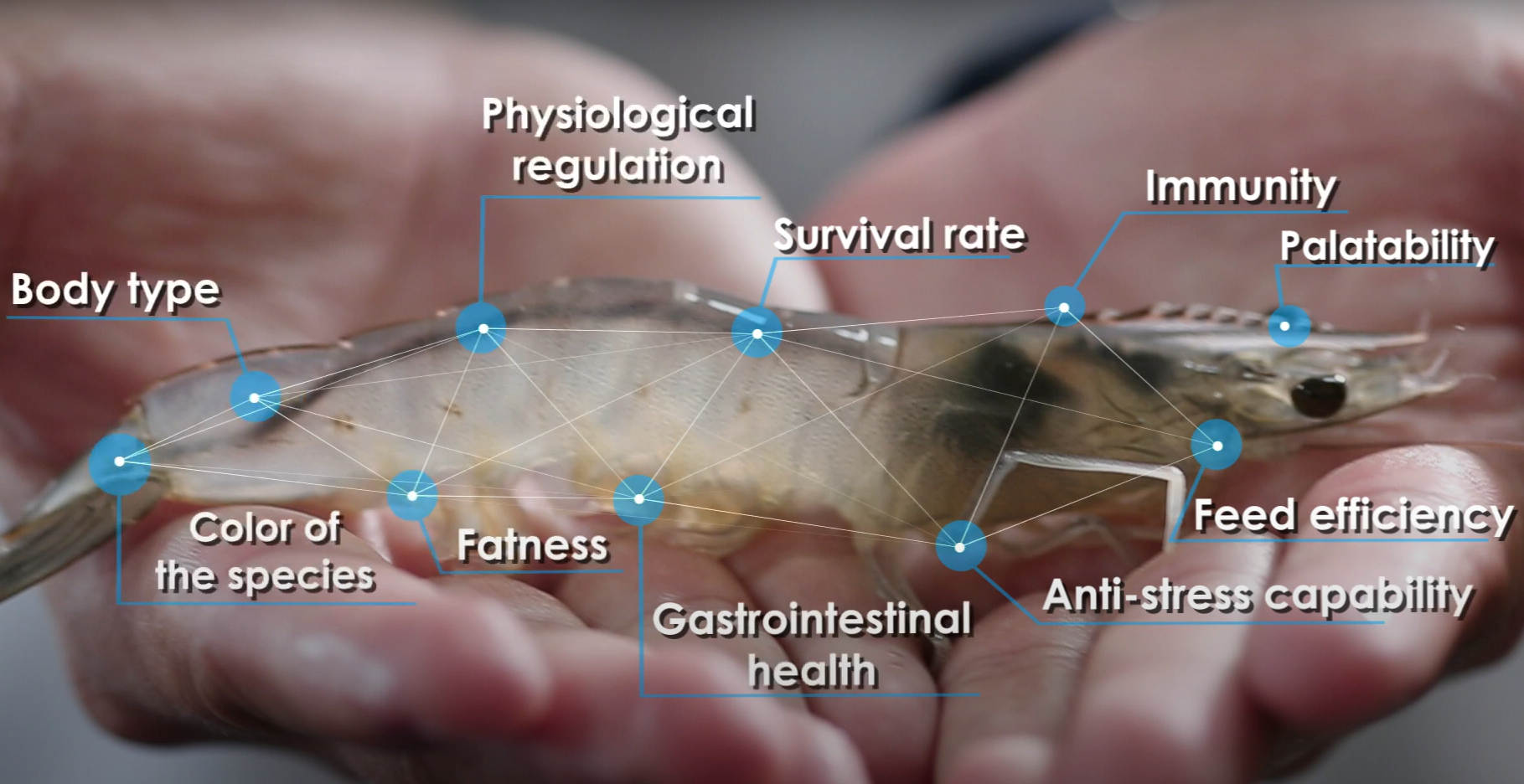 Grobest Group 2020 | Grobest Group