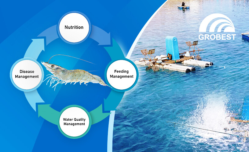 GroStronger, GroFaster, GroSustainably | Grobest Group