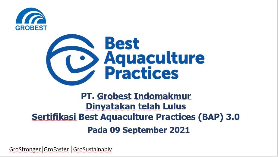 BAP 3.0, Best Aquaculture Practice, Certificate, Quality | Grobest Group