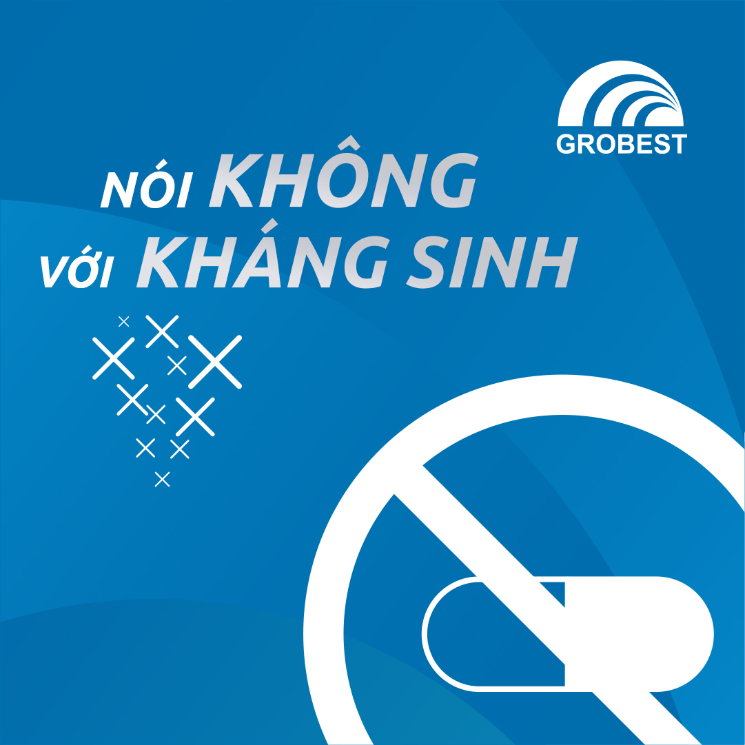 Grobest Việt Nam | Grobest Group