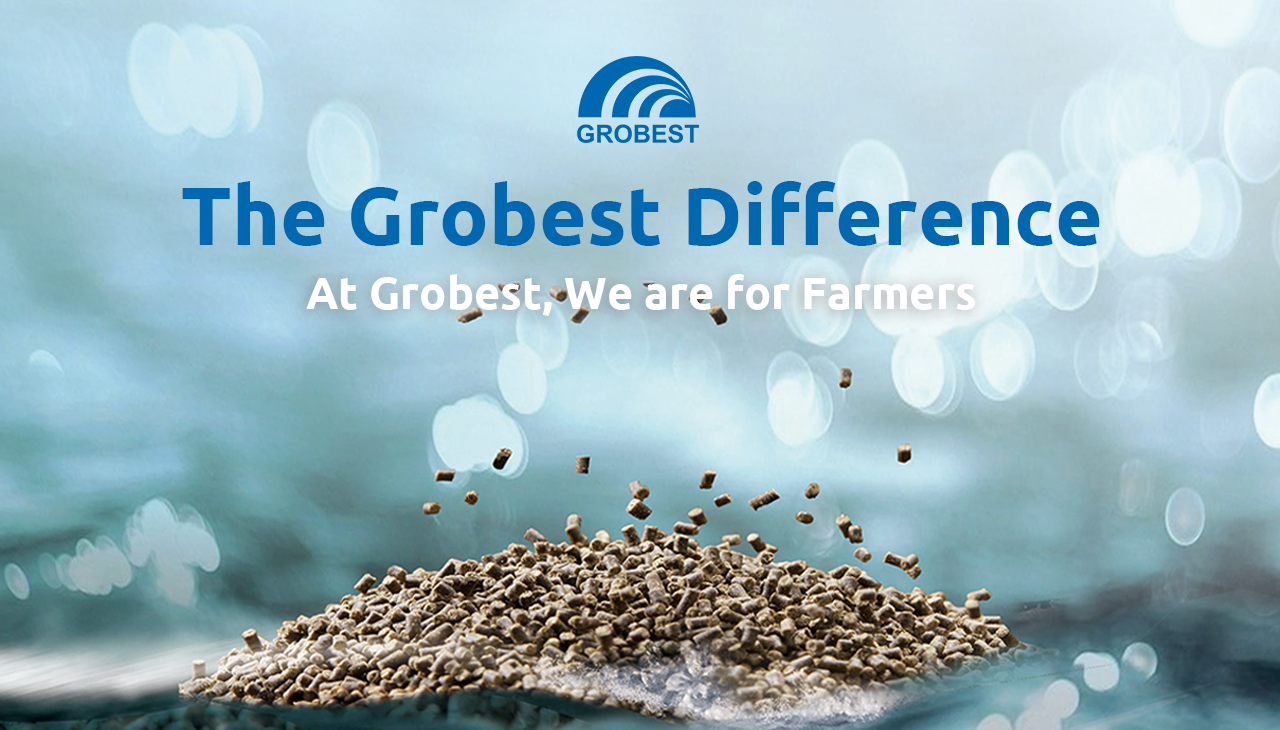GroStronger, GroFaster, GroSustainably | Grobest Group