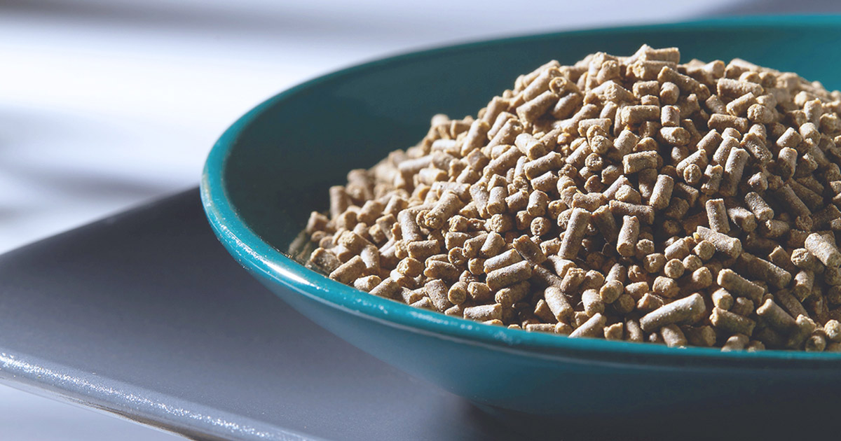 GroStronger, GroFaster, GroSustainably | Grobest Group